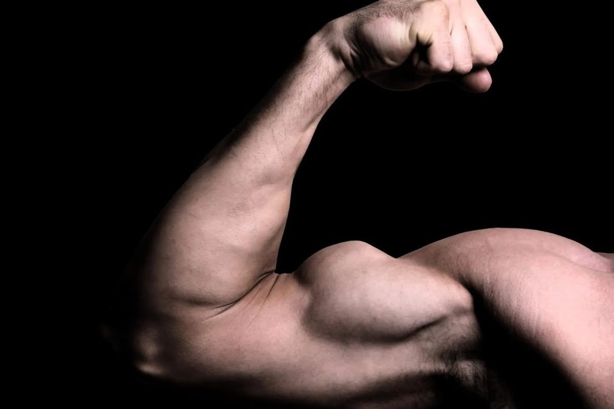 How To Get Bigger Biceps Without Weights In 30 Days
